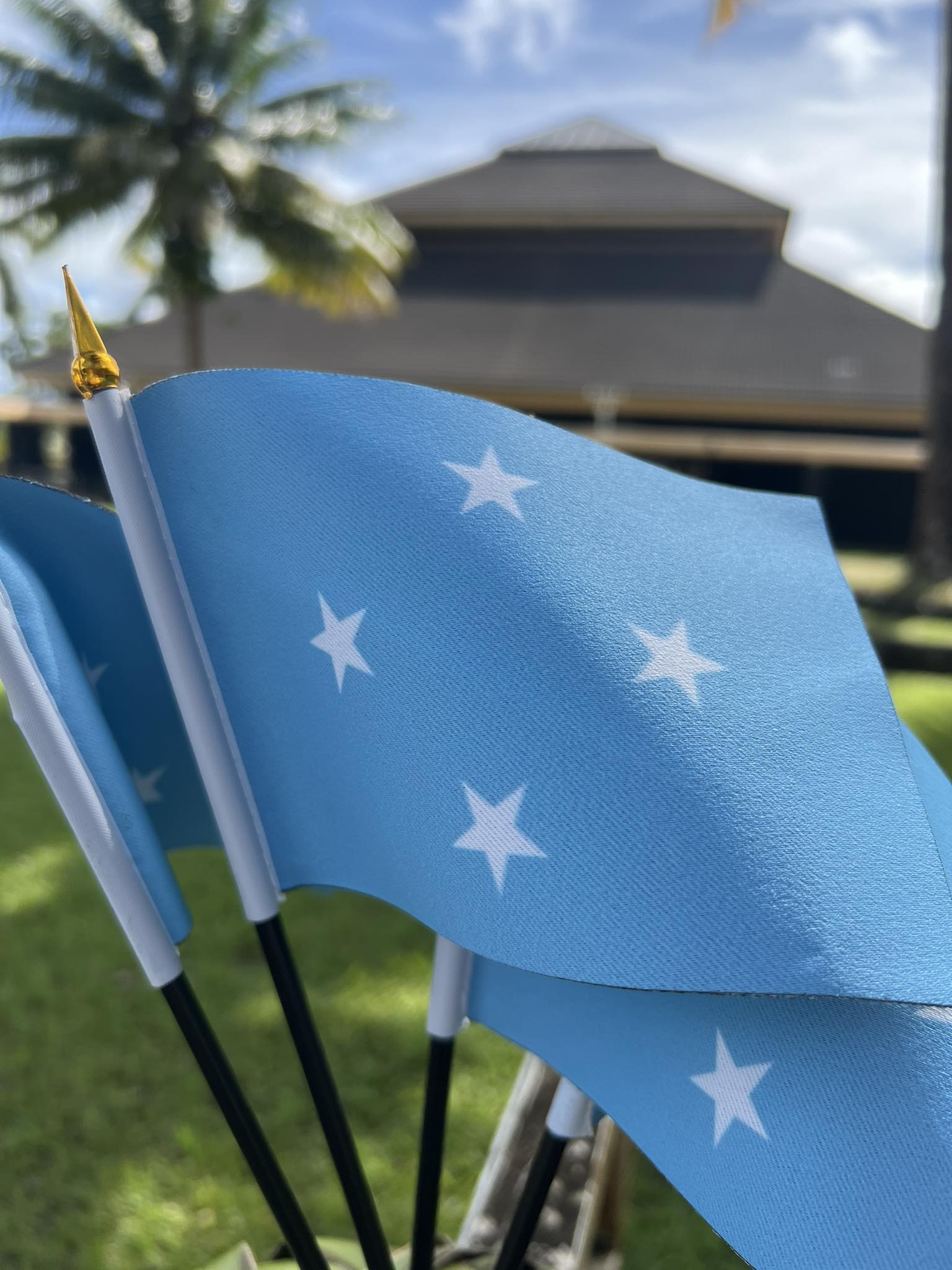 Congress Adopts Credential Report, Nimea to be Seated